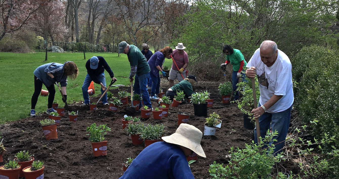 New Jersey Botanical Garden