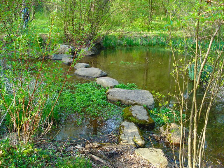 Bog Pond Stones | New Jersey Botanical Garden